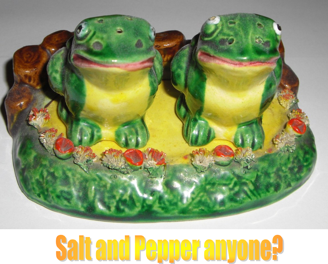 Forever Frogs: Jumping into Attributes & Fields