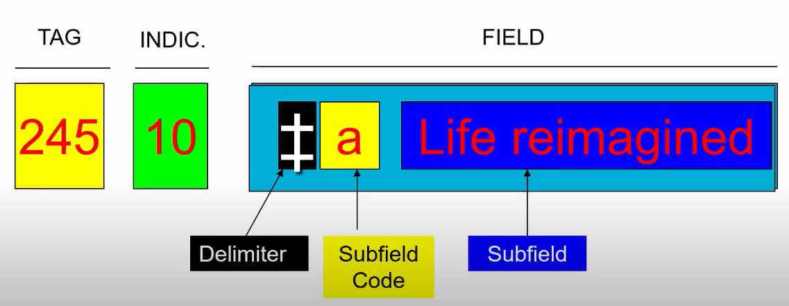 Standards for Bibliographic Record Formats
